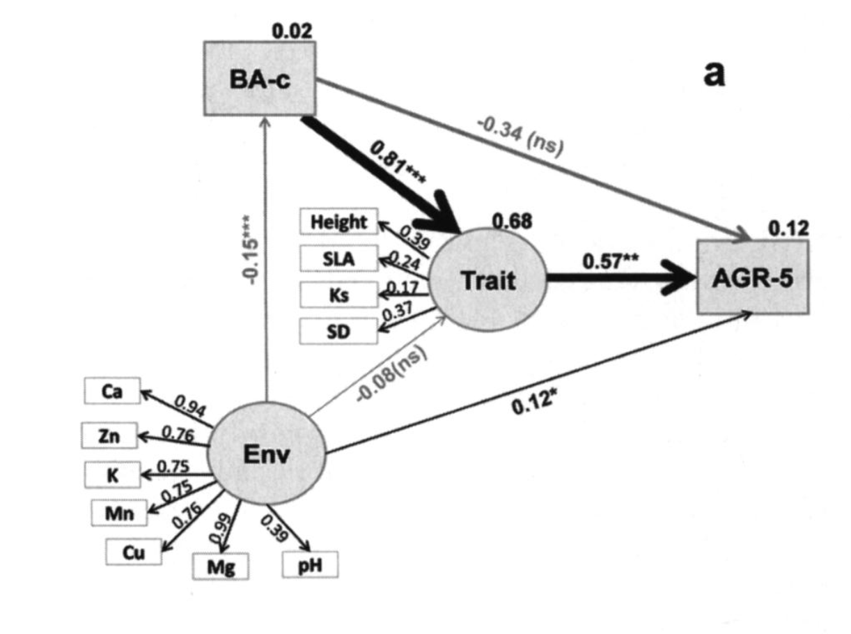 Structural Equation Modeling Python Infoupdate